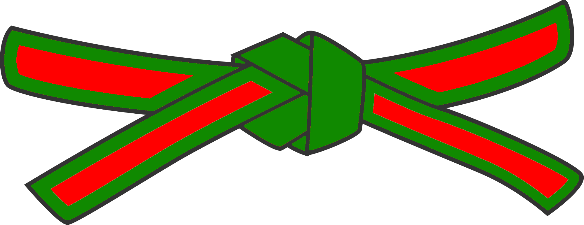 Belt System – Kyushin Ryu Jujitsu