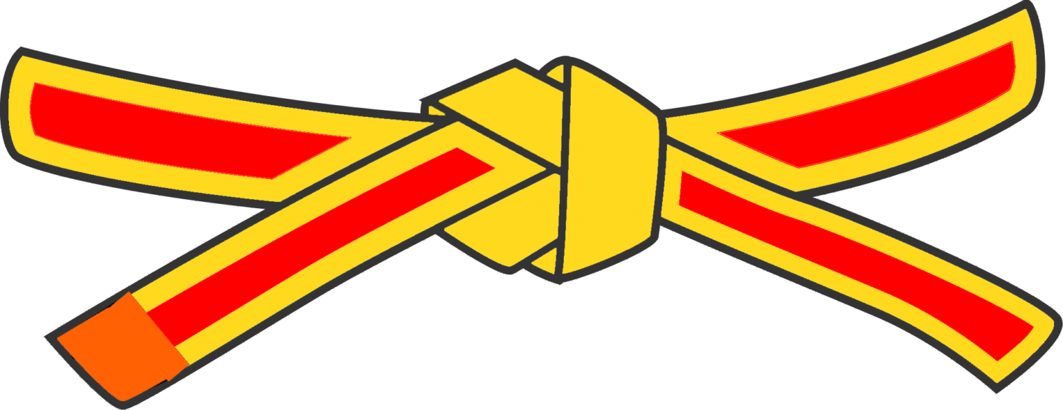Belt System – Kyushin Ryu Jujitsu