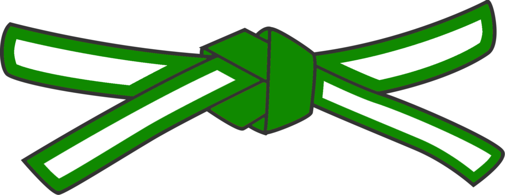 Belt System – Kyushin Ryu Jujitsu