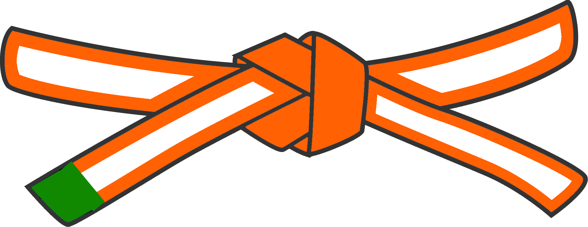 Belt System – Kyushin Ryu Jujitsu